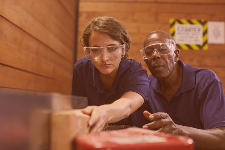 Developing Mentoring Skills to Support Apprentices